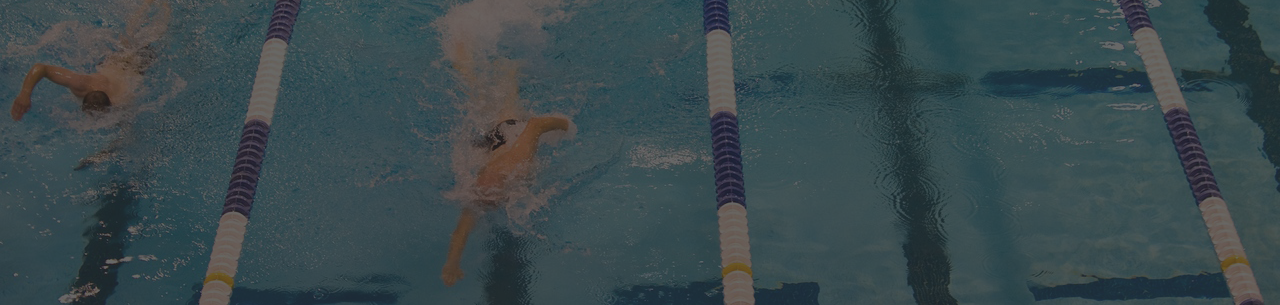 Our Services – Ignite Your Life | Dr. Peder N. Piering